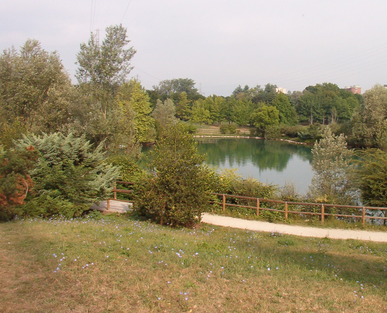 Regole per tutti, anche per chi organizza feste nei parchi cittadini ...